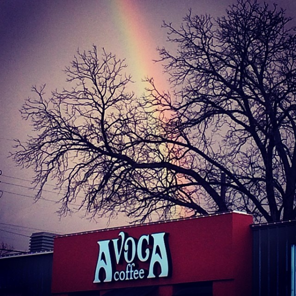 Roaster Profile: Avoca Coffee