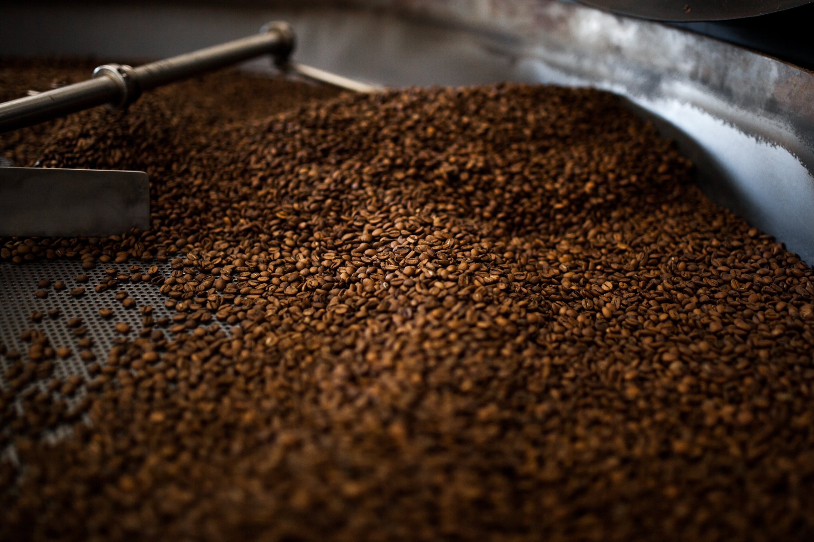 From the First Coffee Bean to the Vanilla Latte: Coffee’s Long, Global ...